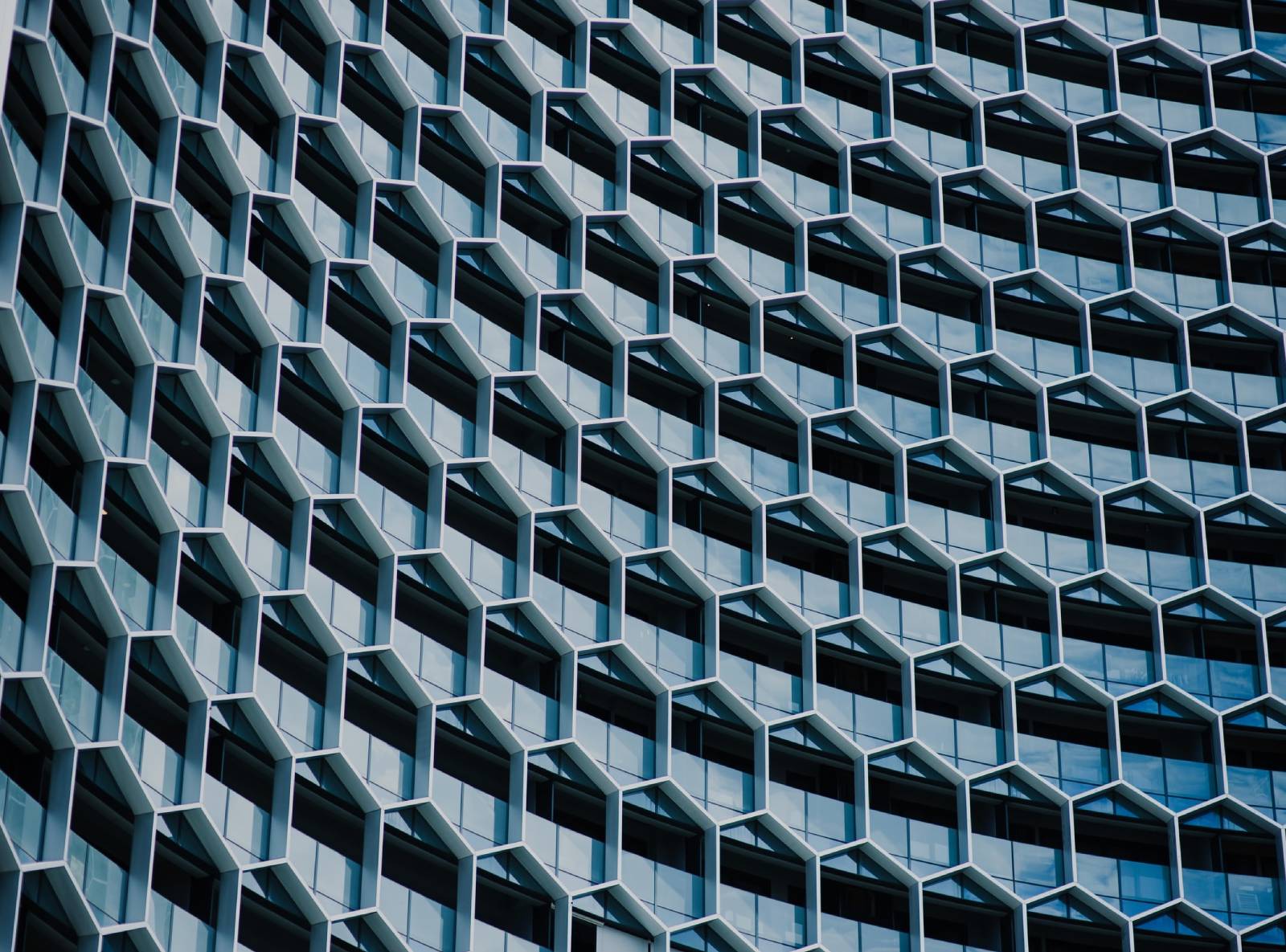 Blockchain Development - an Impetus for Growth and Innovation ...